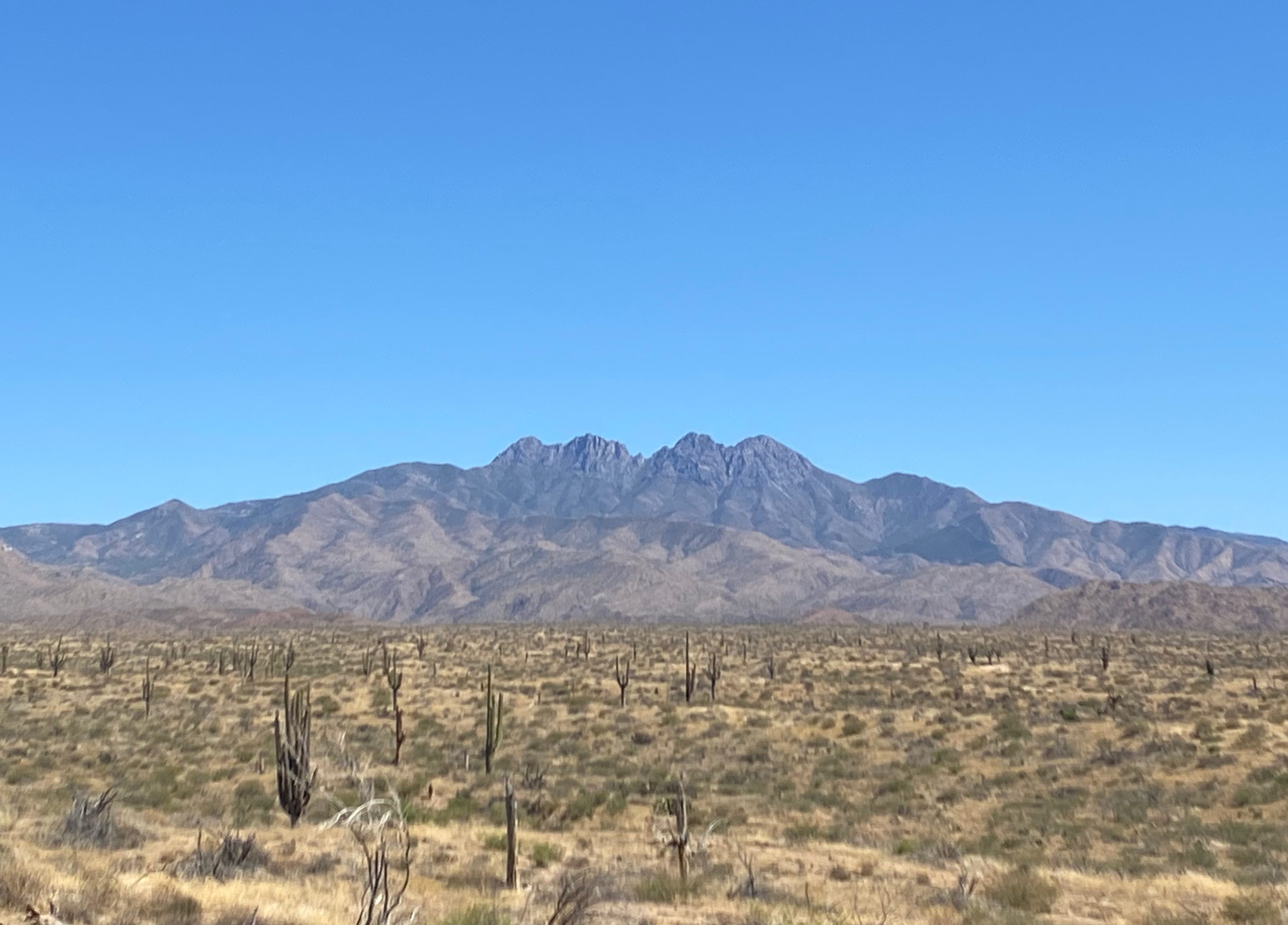 Complete Guide to Driving to Four Peaks in Arizona - Soul Summit Travel