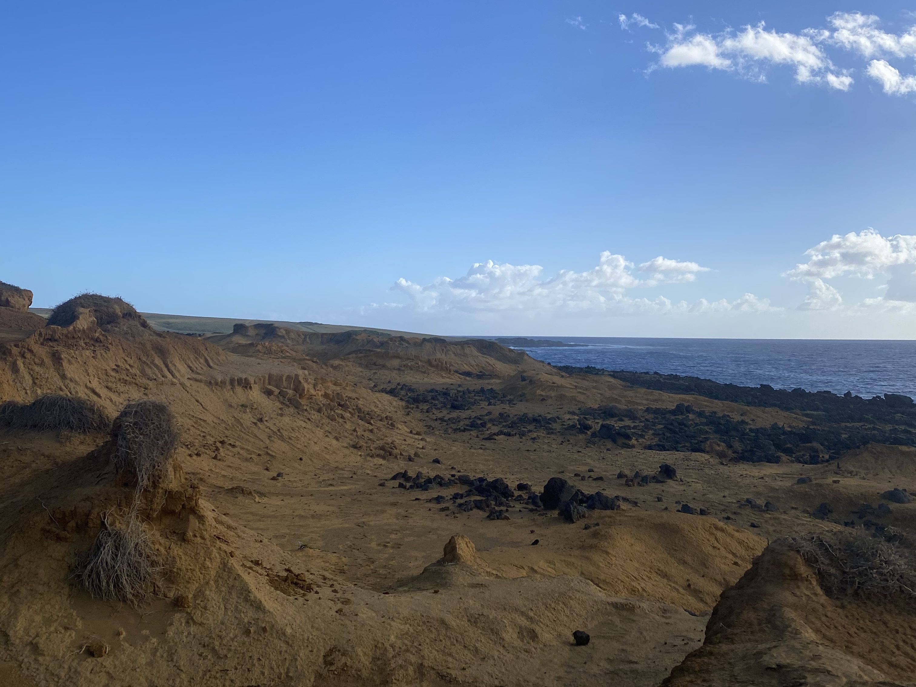 Exploring Naalehu, Hawaii: Top Attractions Within a 30 Minute Drive ...