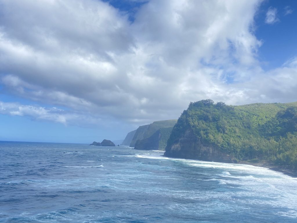 6 Gorgeous Black Sand Beaches to Visit on the Big Island of Hawaii ...
