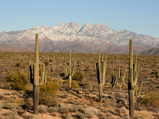 Complete Guide to Driving to Four Peaks in Arizona - Soul Summit Travel