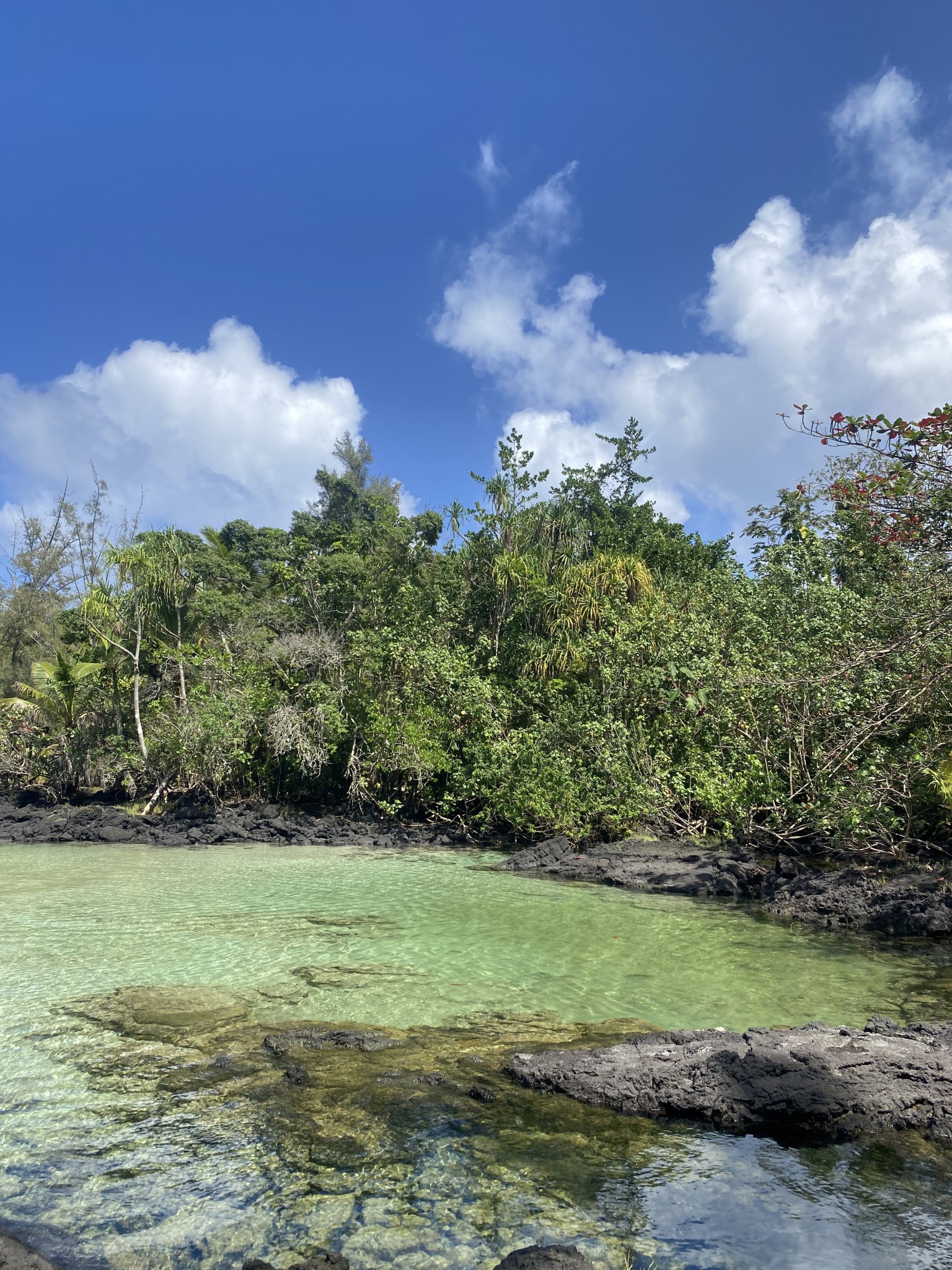 Kailua-Kona vs. Hilo: Which Town is Best to Base Your Trip to the Big Island? – Soul Summit Travel