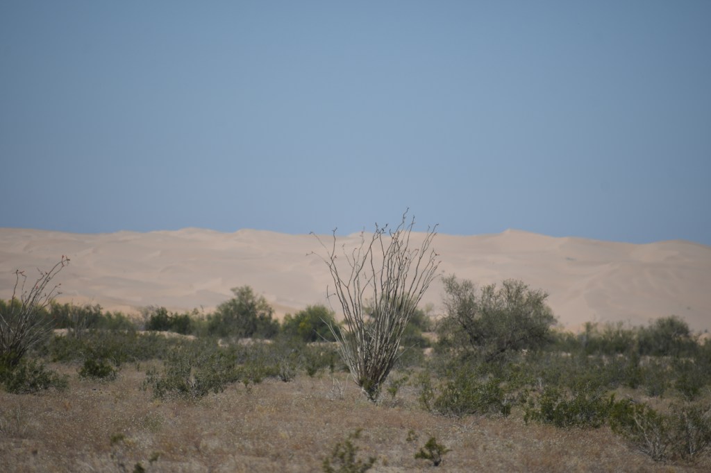 How to Visit the Imperial Sand Dunes Recreation Area in California ...