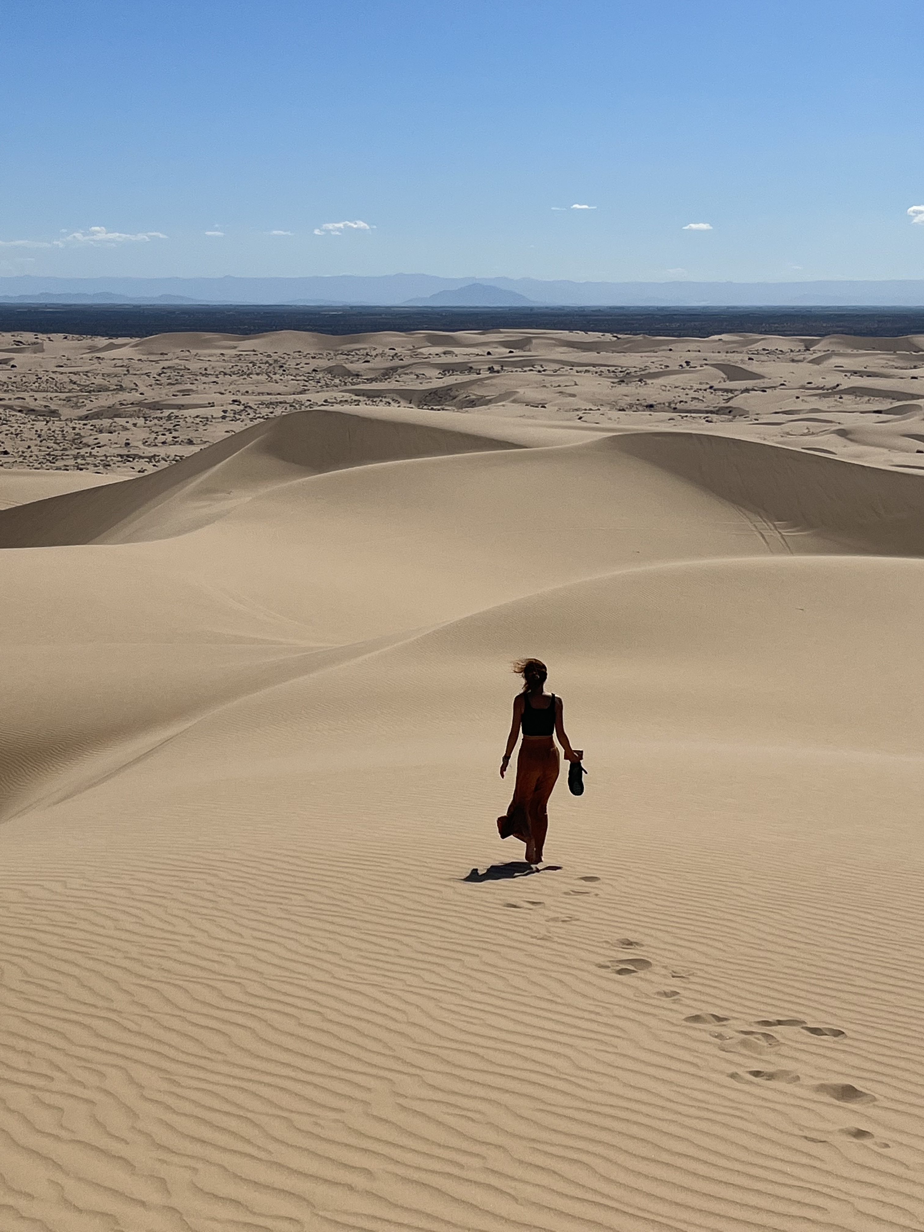 How to Visit the Imperial Sand Dunes Recreation Area in California ...