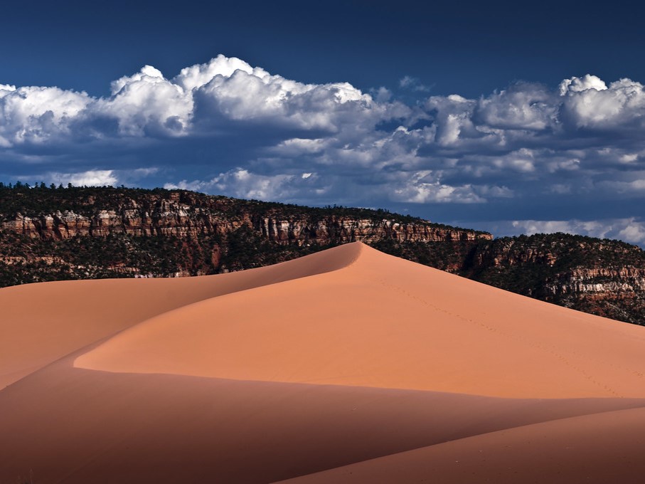 Coral Pink Sand Dunes: A Must Visit State Park in Kanab, Utah! – Soul ...