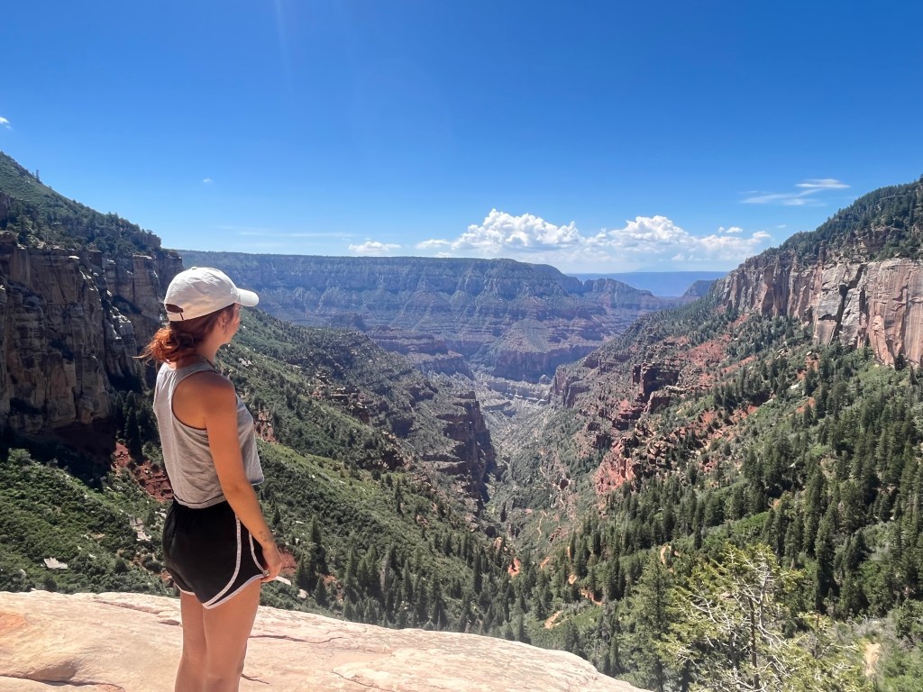 The Best 10 Things to Do at the North Rim Grand Canyon - Soul Summit Travel